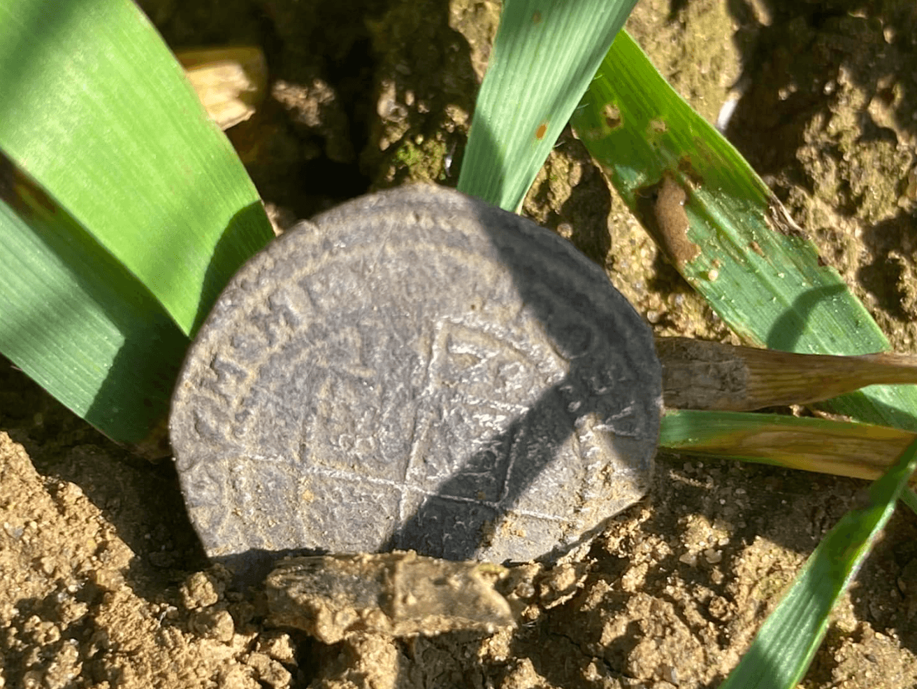 Whaplode Dig 01/02/25 - Digging History UK