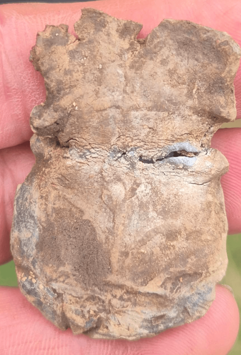 Swineshead - Digging History UK